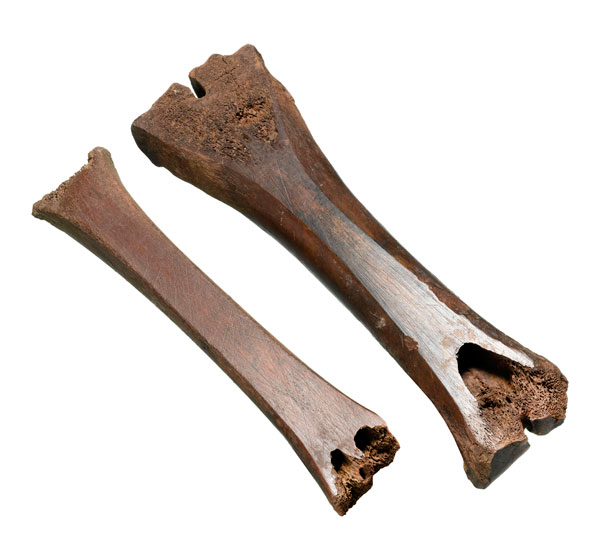Tunnel: the archaeology of Crossrail - Current Archaeology